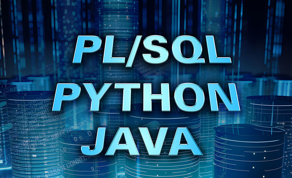 Online Oracle SQL and PL/SQL + Python Developer + Java Developer from American University